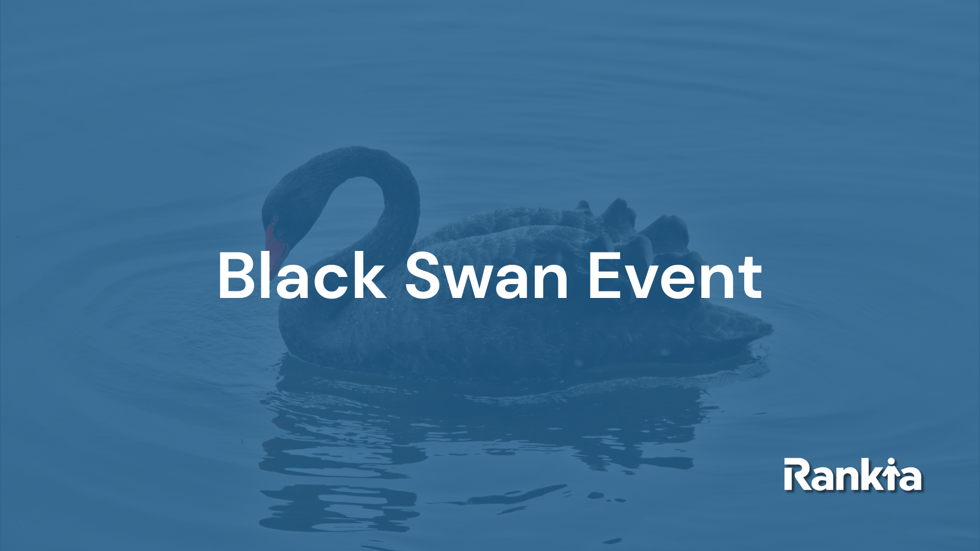 Apa itu Black Swan Event di Pasar Keuangan & Cara Melindungi Portofolio ...